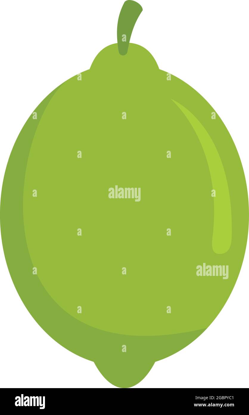 Lime icon. Flat illustration of lime vector icon isolated on white ...