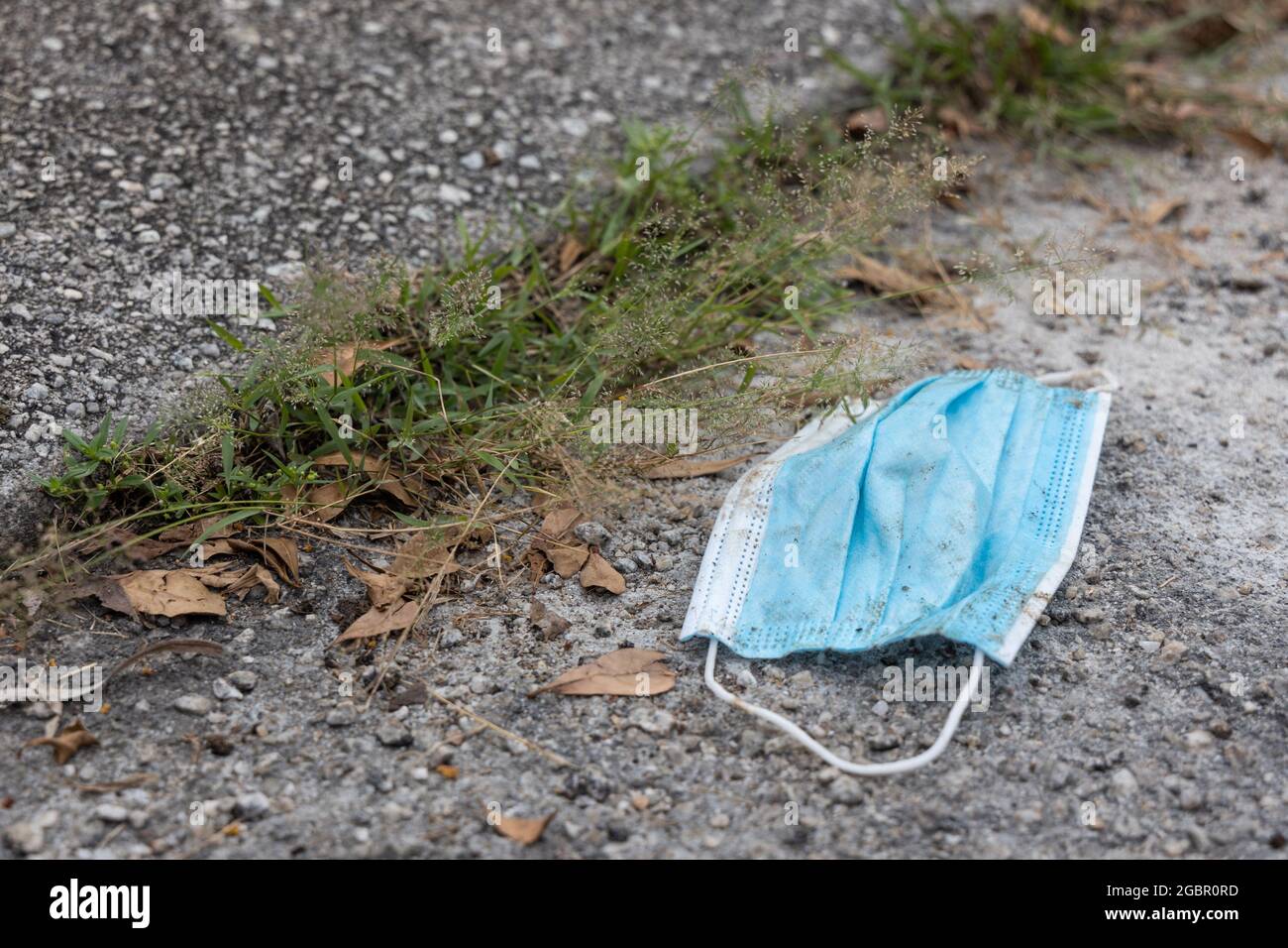 Litter of used surgical face mask with high usage due to covid pandemic ...