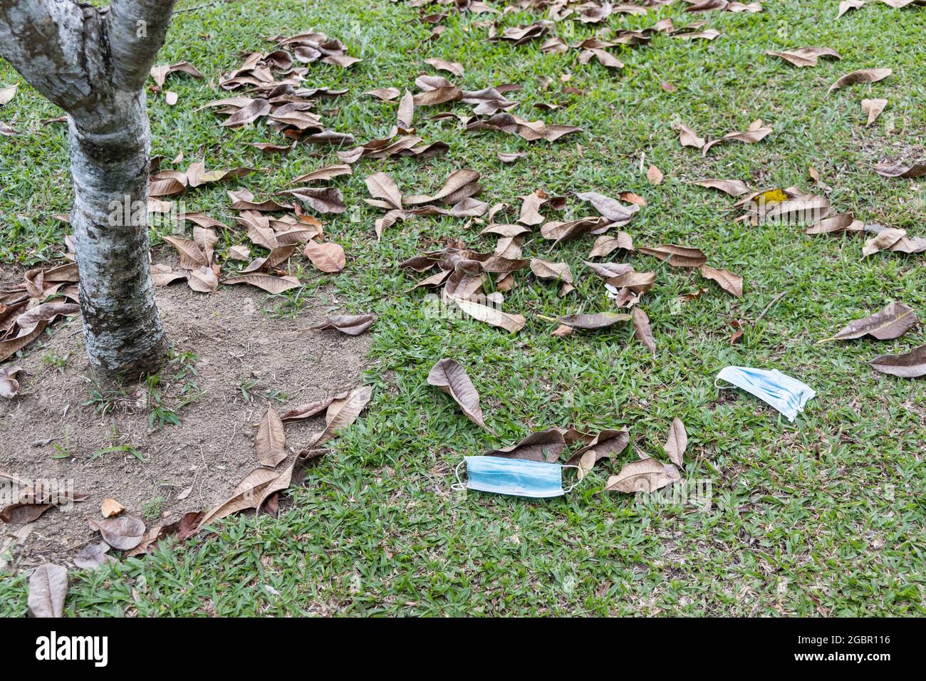 Litter of used surgical face mask with high usage due to covid pandemic ...