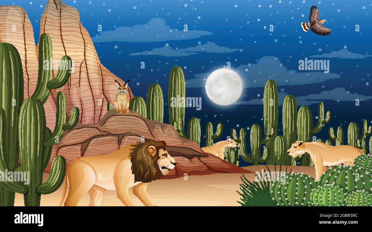 Animals live in desert forest landscape at night scene illustration Stock Vector Image & Art - Alamy