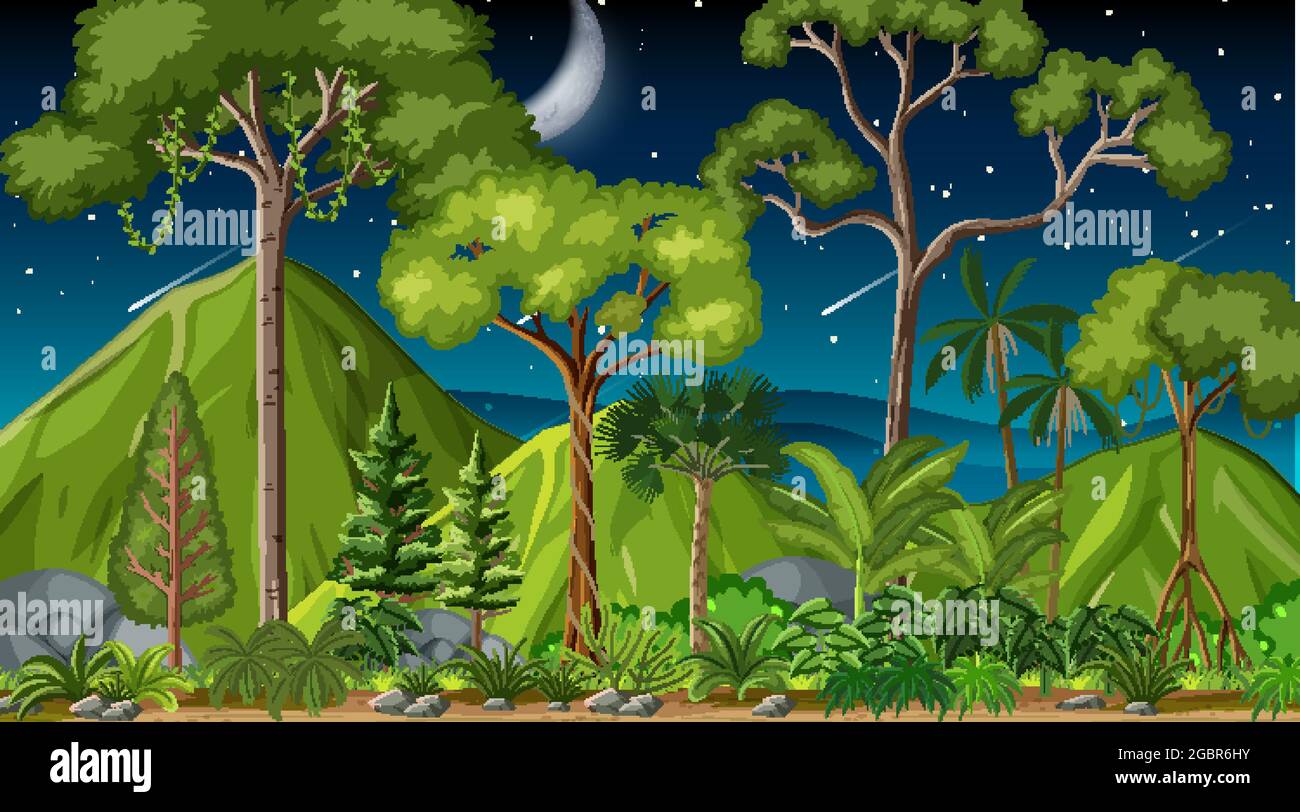 Forest landscape scene at night with many different trees illustration ...