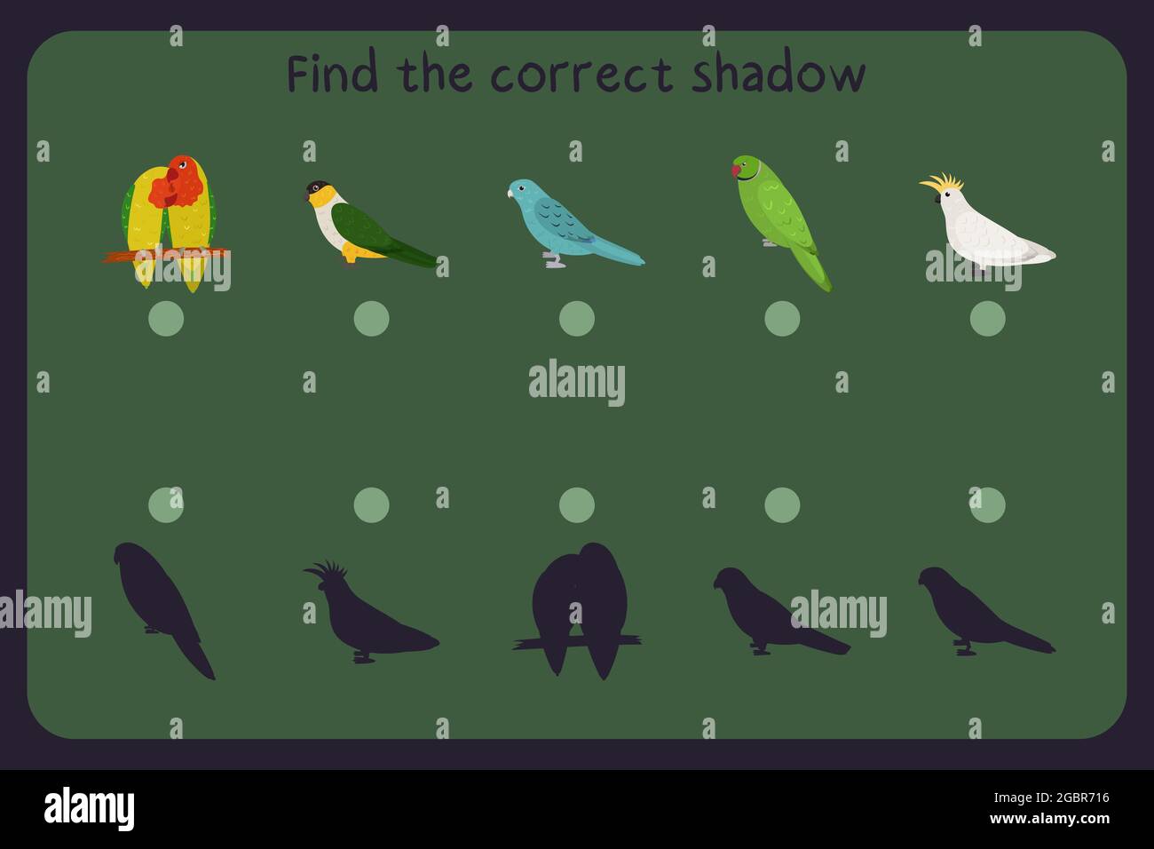 Matching children educational game with parrots - lovebird, black ...