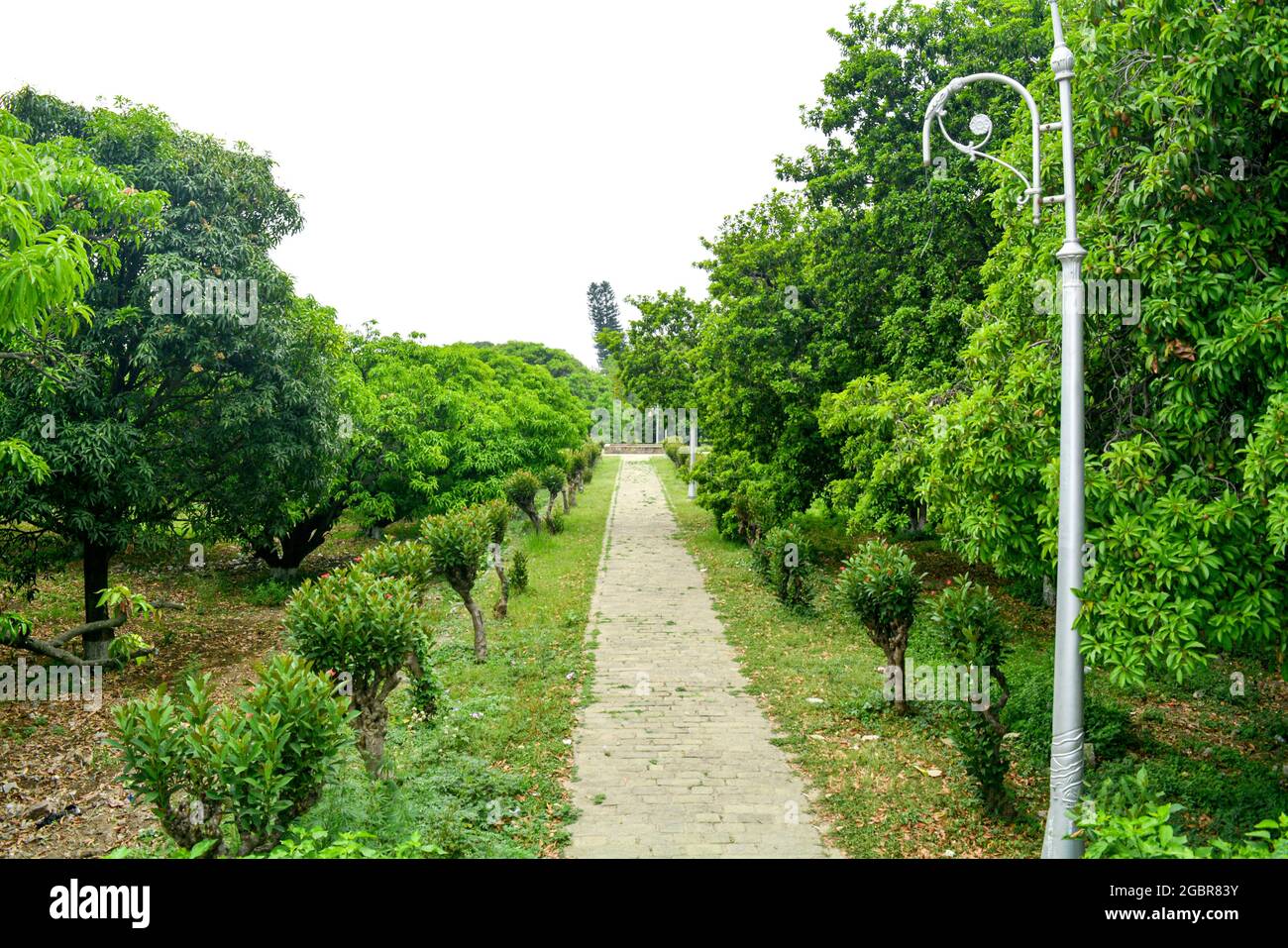 Beautiful park scene in public park with green grass field at pinjore ...