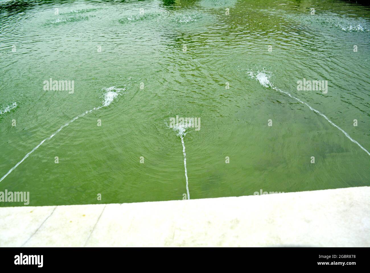 Pinjore park hi-res stock photography and images - Alamy