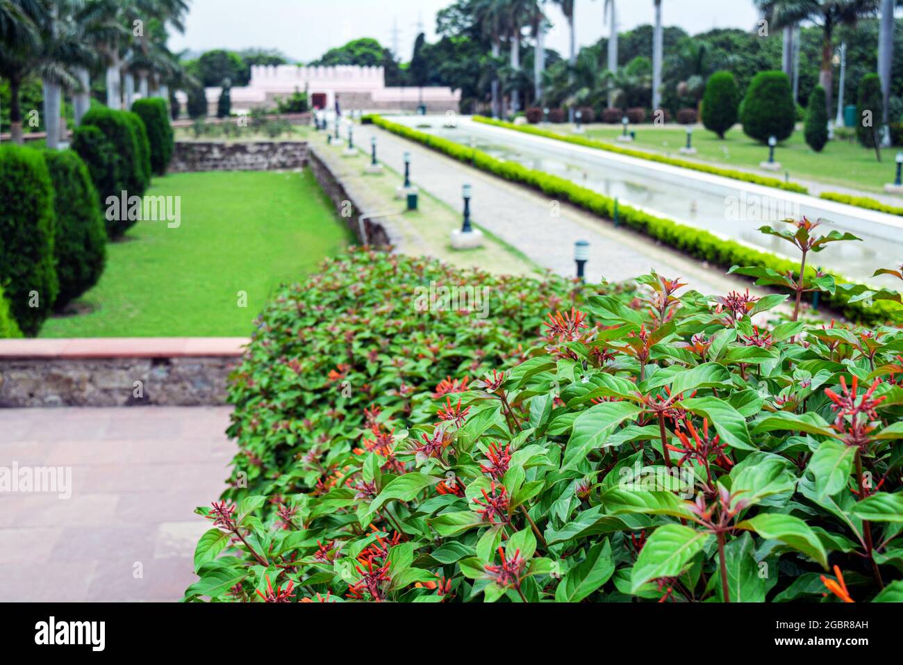 Beautiful park scene in public park with green grass field at pinjore ...
