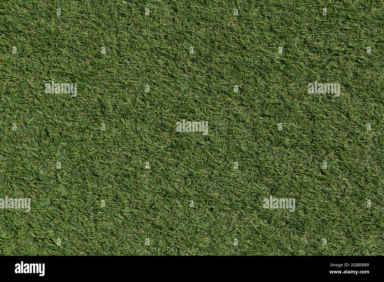 natural backdrop: floor made of green grass background Stock Photo - Alamy