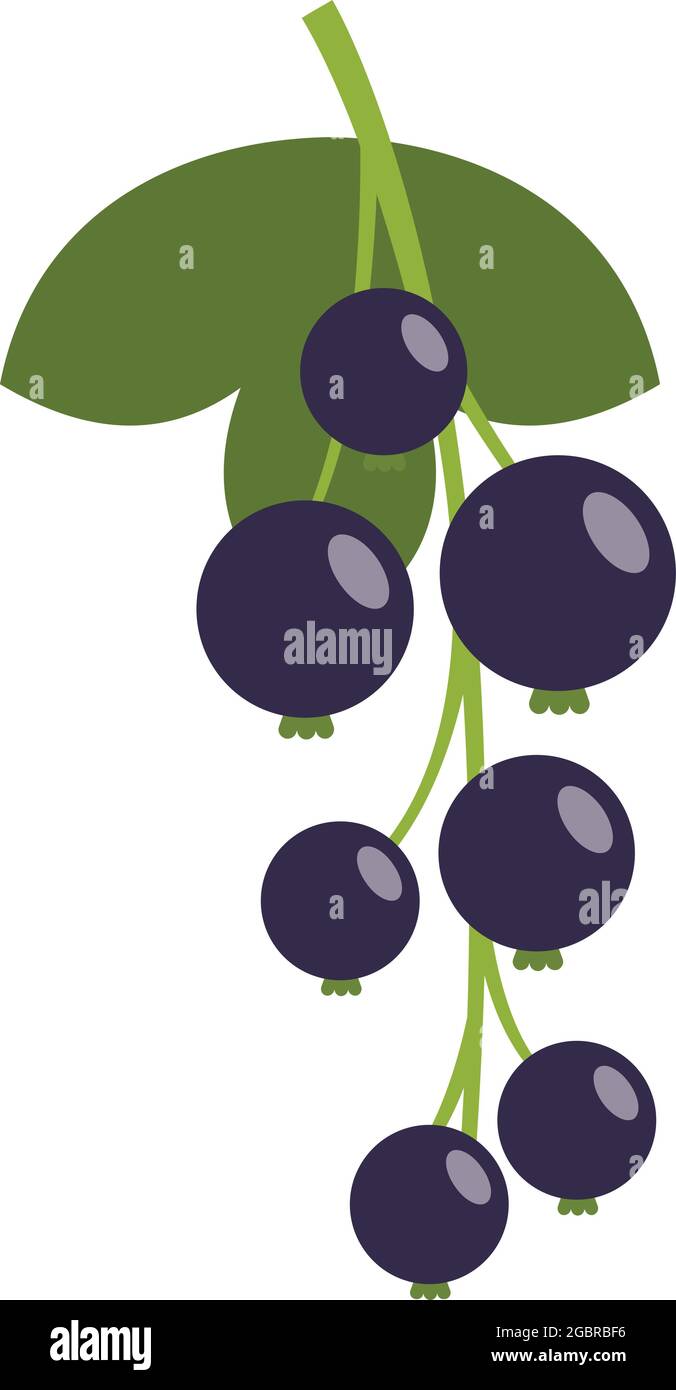 Blue currant berry icon. Flat illustration of blue currant berry vector ...
