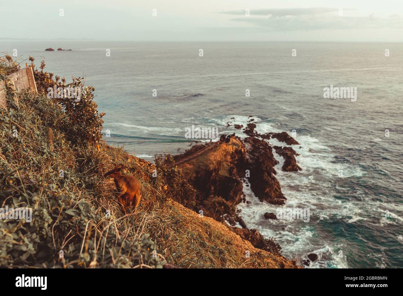 Beautiful view of an idyllic coast seen from Byron Bay Lighthouse ...