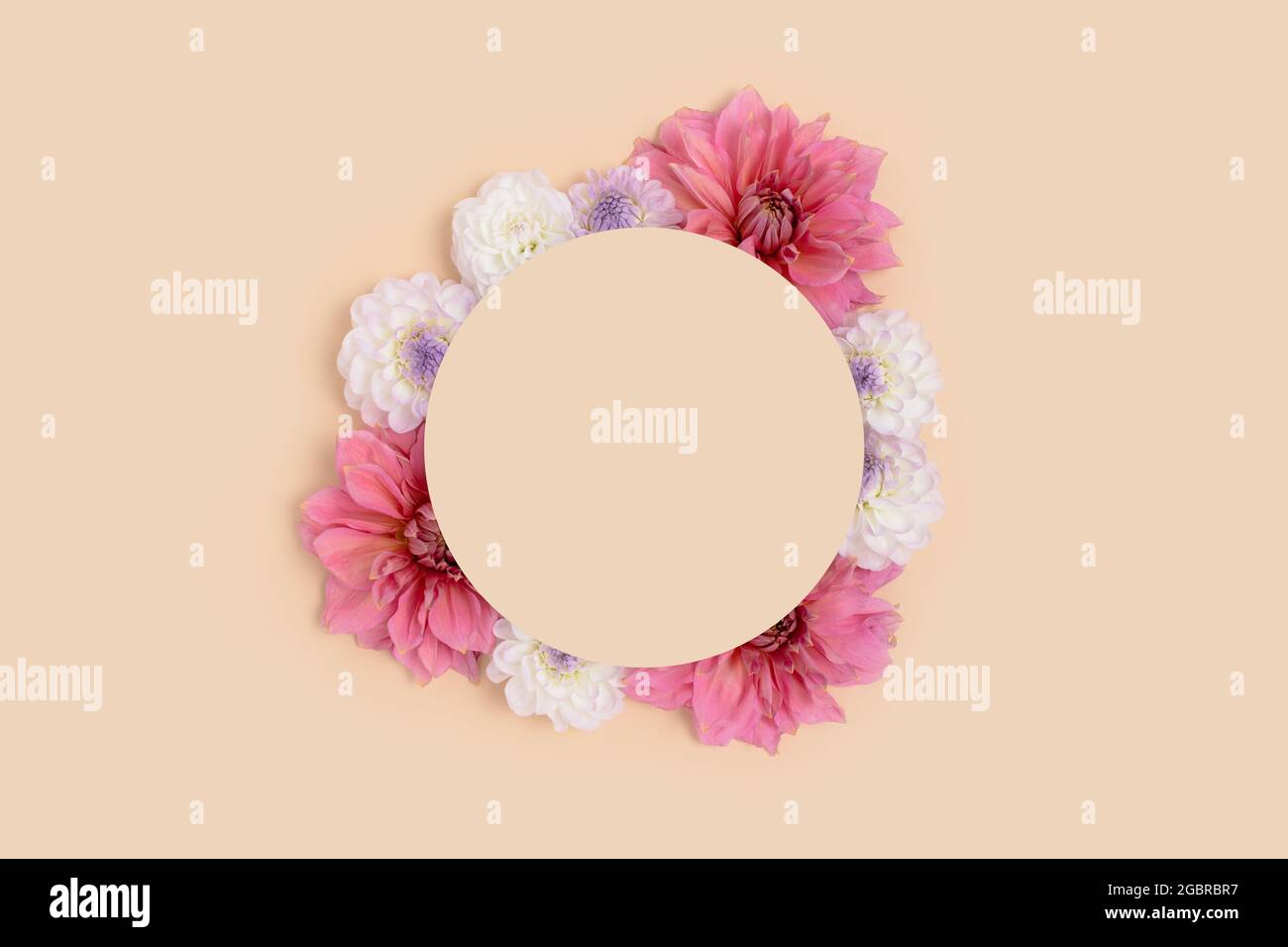 Wreath made of dahlia on a beige background. Flower round frame with ...