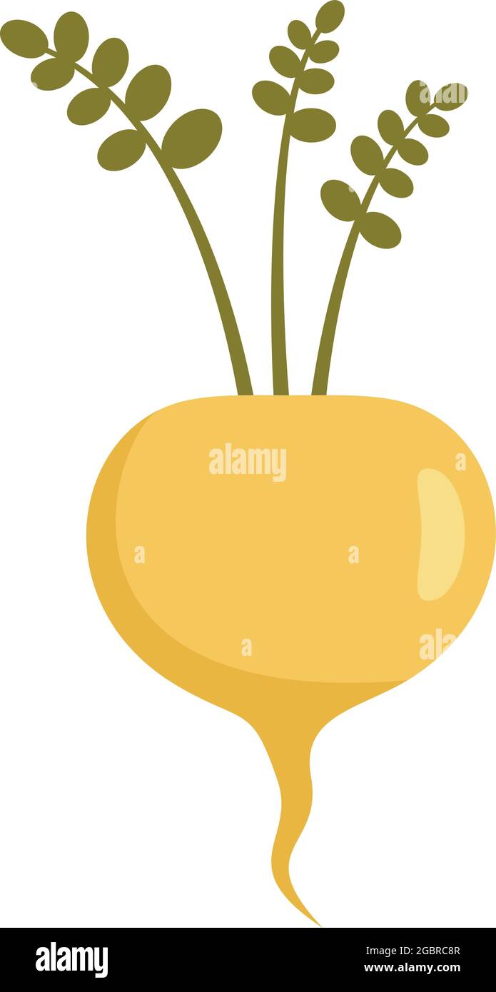 White radish icon. Flat illustration of white radish vector icon ...