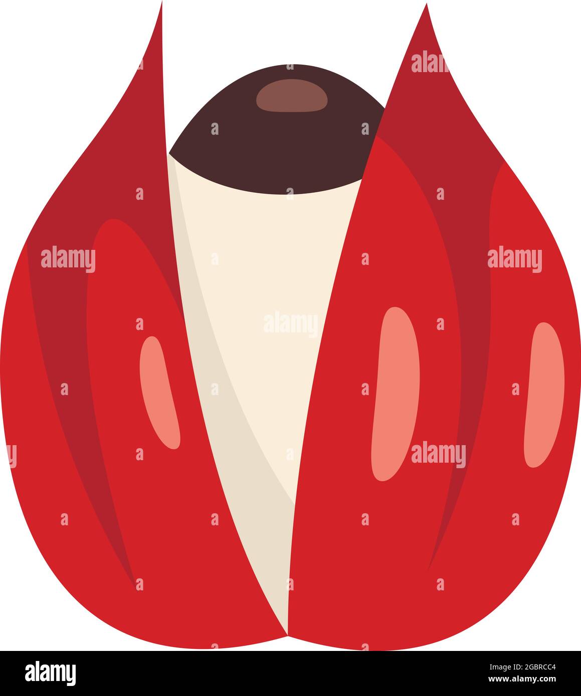 Tropical fruit superfood icon. Flat illustration of tropical fruit ...