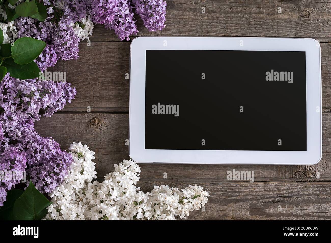 Lilac blossom on rustic wooden background, tablet with empty space for ...