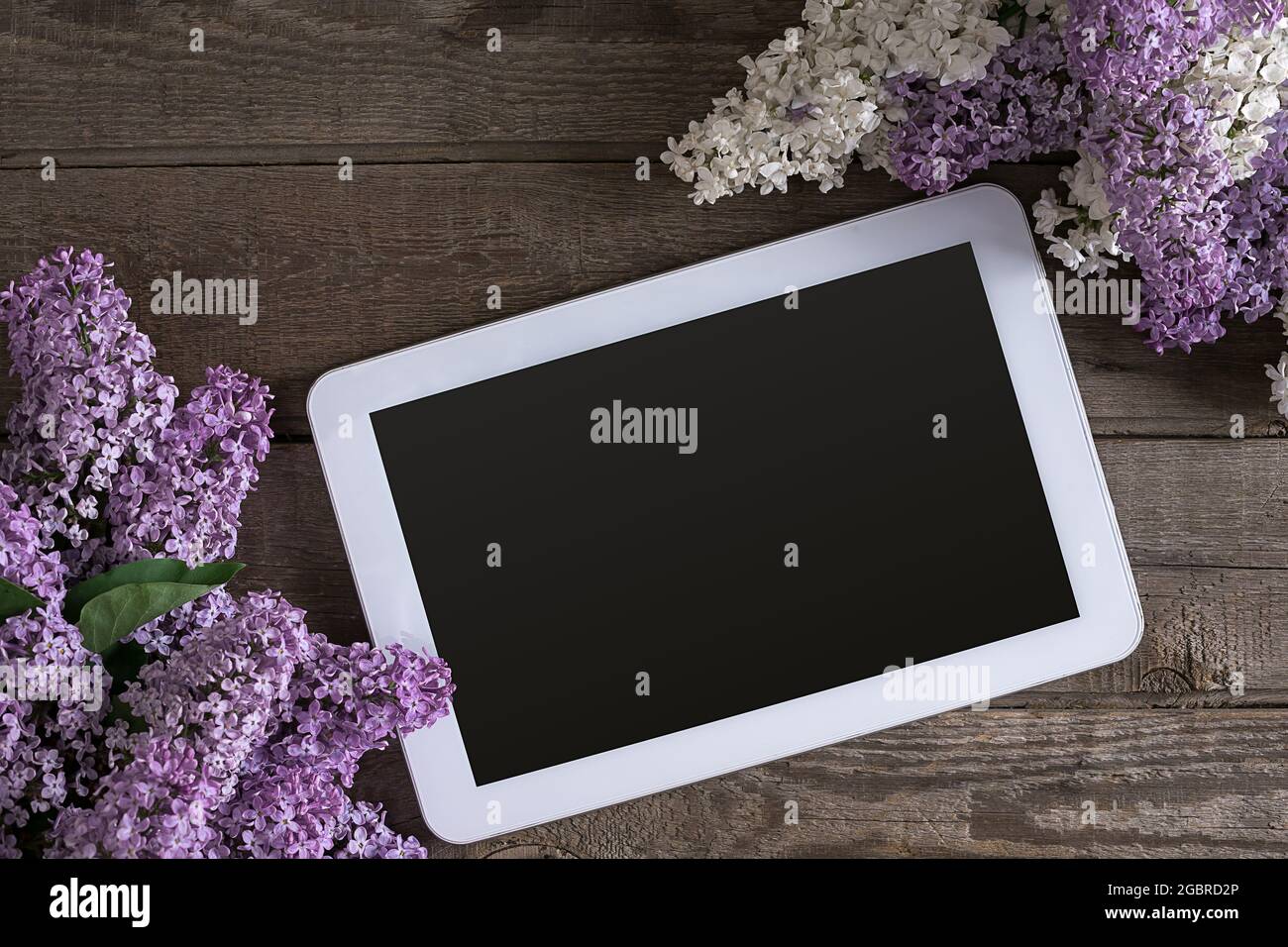 Lilac blossom on rustic wooden background, tablet with empty space for ...