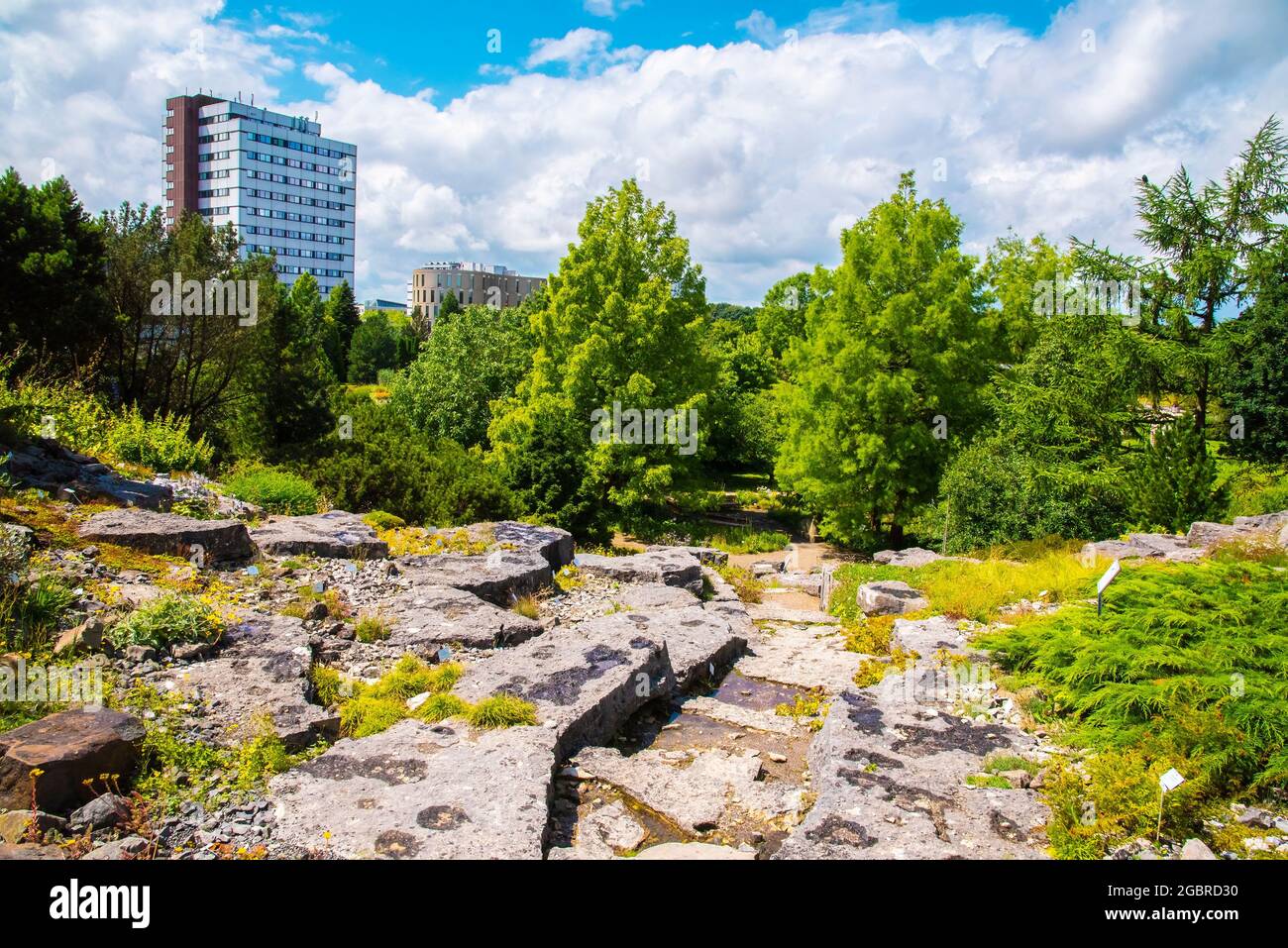 Beautiful public park in Botanic Garden in Kiel town consists numerous ...