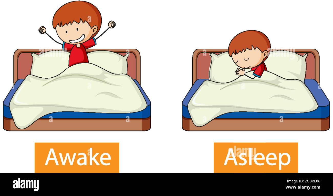 Opposite words with awake and asleep illustration Stock Vector Image ...