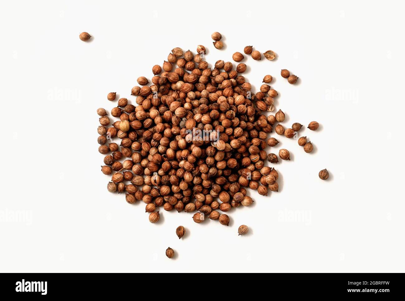 Dried coriander seeds isolated on white background Stock Photo - Alamy