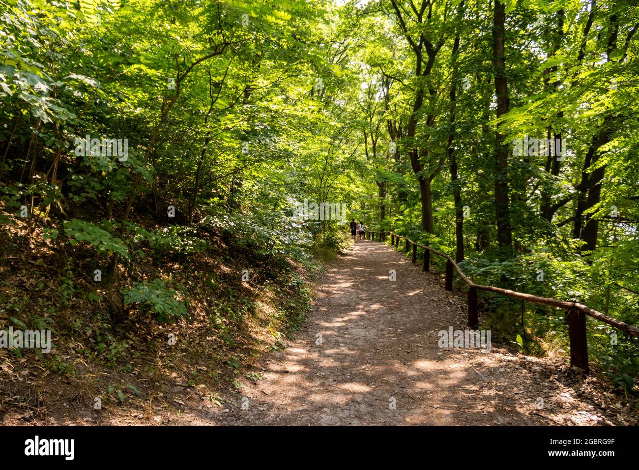 Mosina hi-res stock photography and images - Alamy