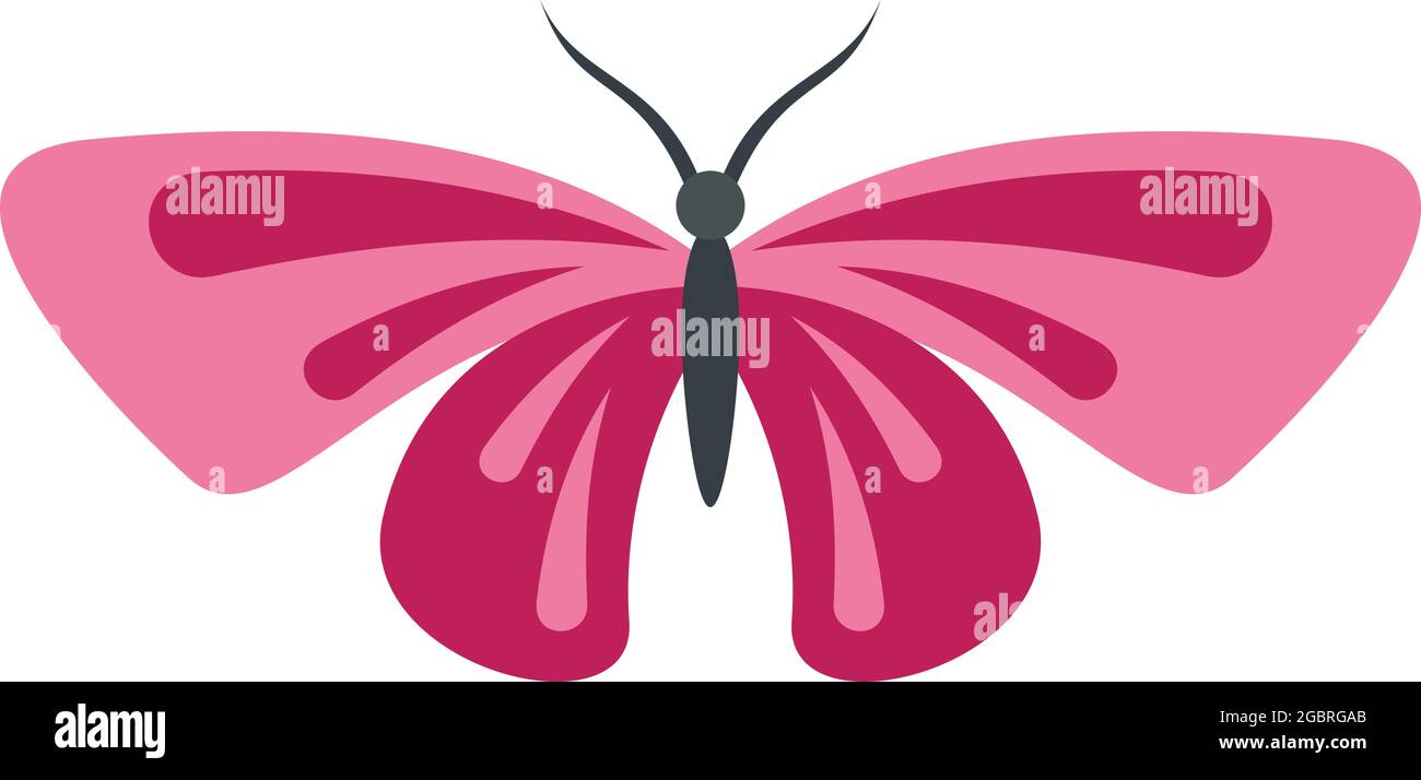 Beautiful butterfly icon. Flat illustration of beautiful butterfly ...