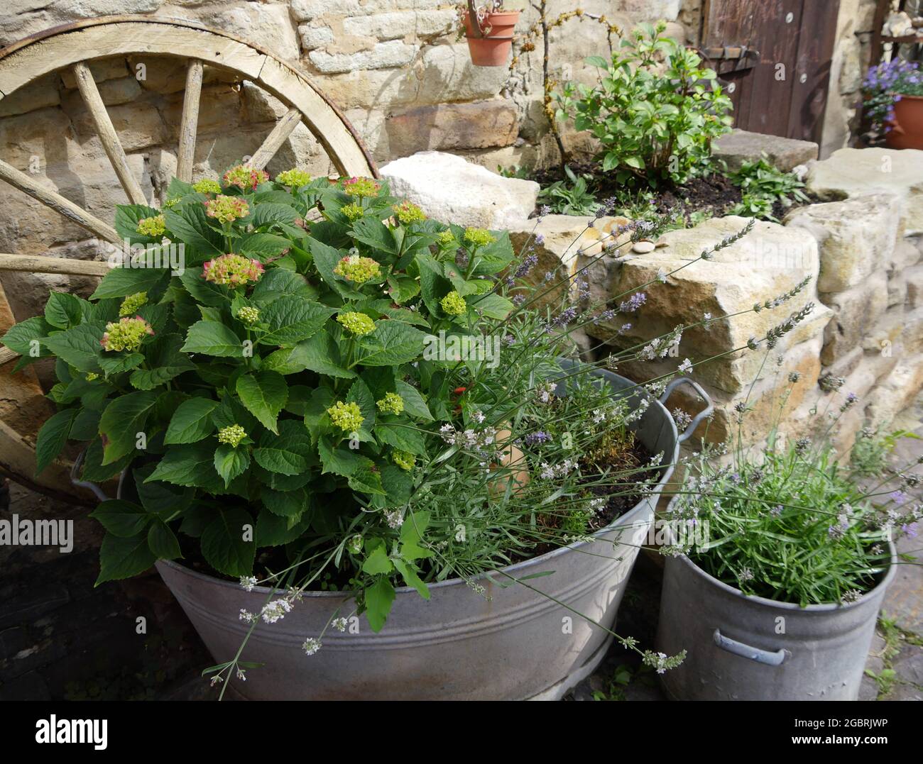 Idyllic Courtyard In Summer Stock Photo - Alamy