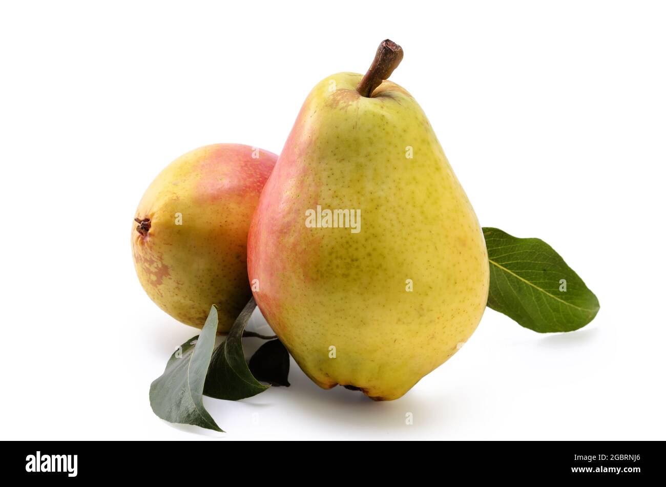 ripe pear fruits on white background with soft shadow Stock Photo - Alamy