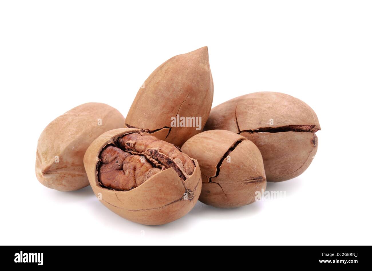 pecan on white background Stock Photo - Alamy