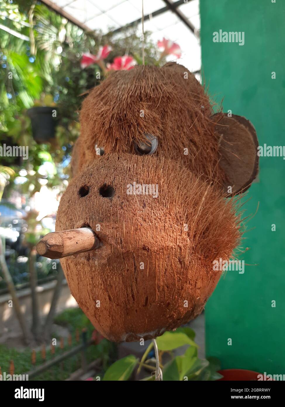 Vertical selective focus shot of a monkey head made in coconut husk ...