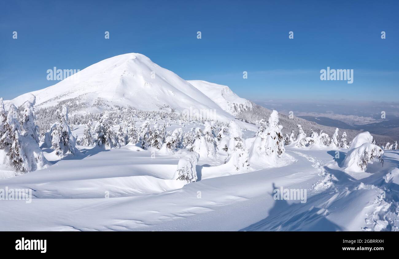 Nature winter landscape. On the lawn covered with snow there is a ...