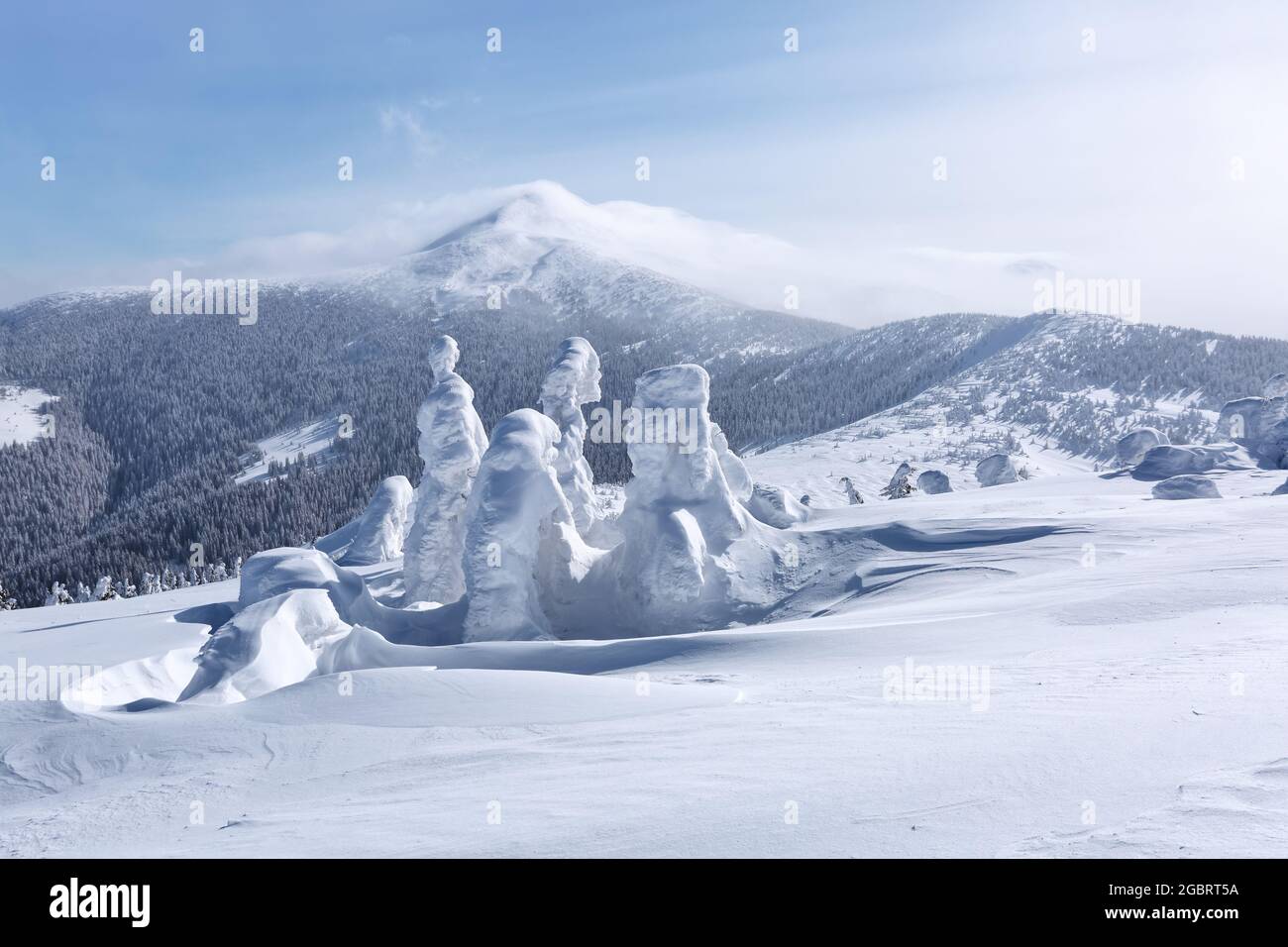 Trample Nature High Resolution Stock Photography and Images - Alamy