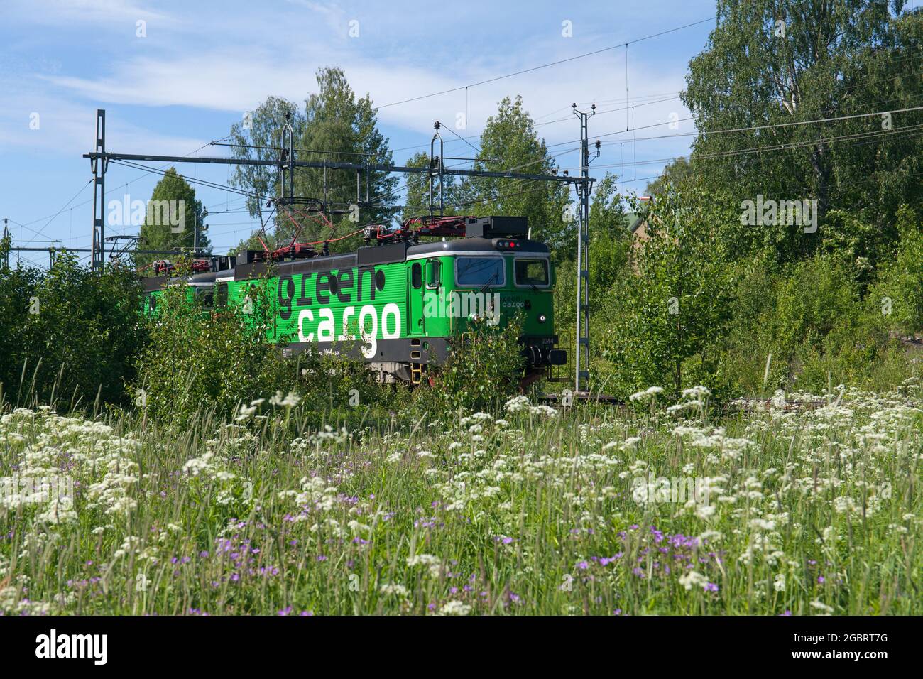 NORTH COUNTY, SWEDEN ON JUNE 17, 2021. Long-distance cargo train ...