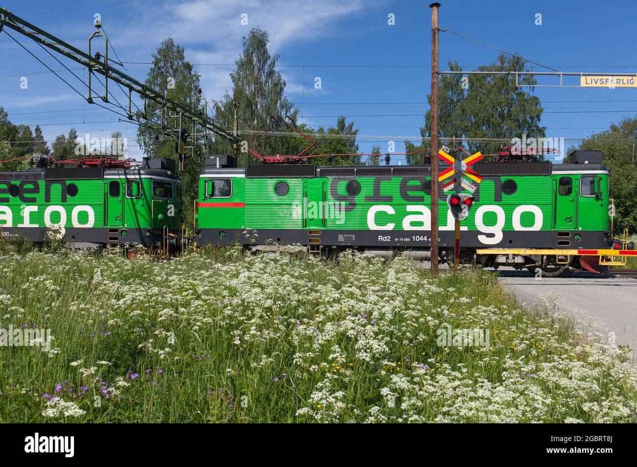 NORTH COUNTY, SWEDEN ON JUNE 17, 2021. Long-distance cargo train ...