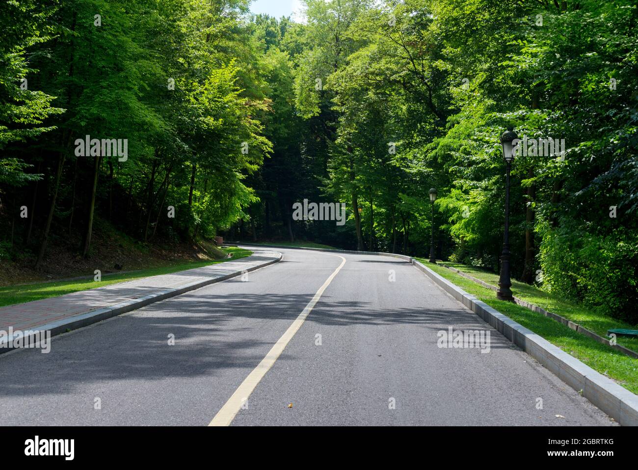 Highway through summer forest. Green trees beside of road going in the ...