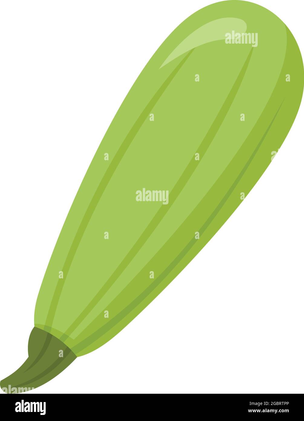 Squash icon. Flat illustration of squash vector icon isolated on white ...