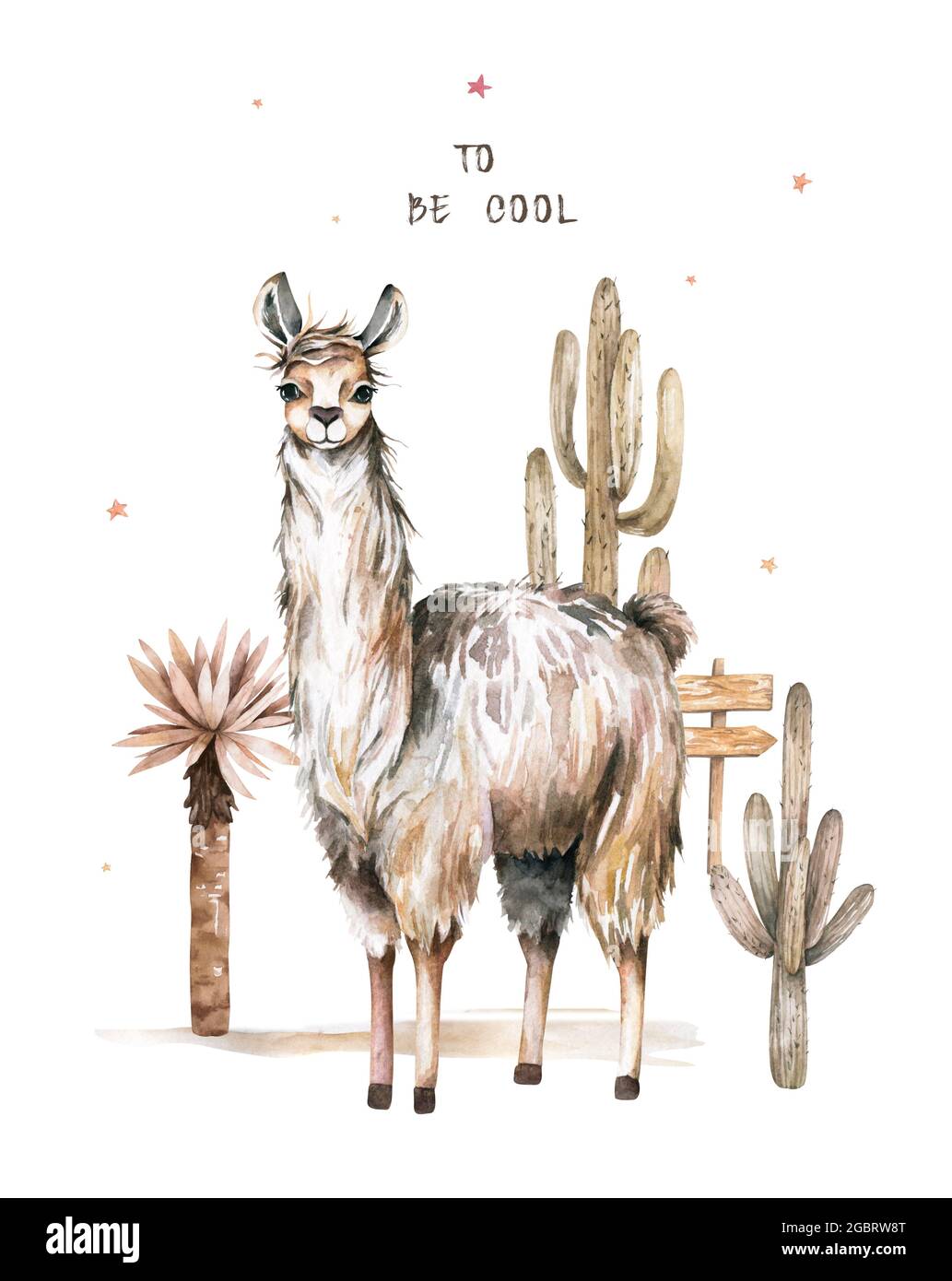 Cartoon guanaco watercolor illustrations. Cute llamas alpaca characters ...