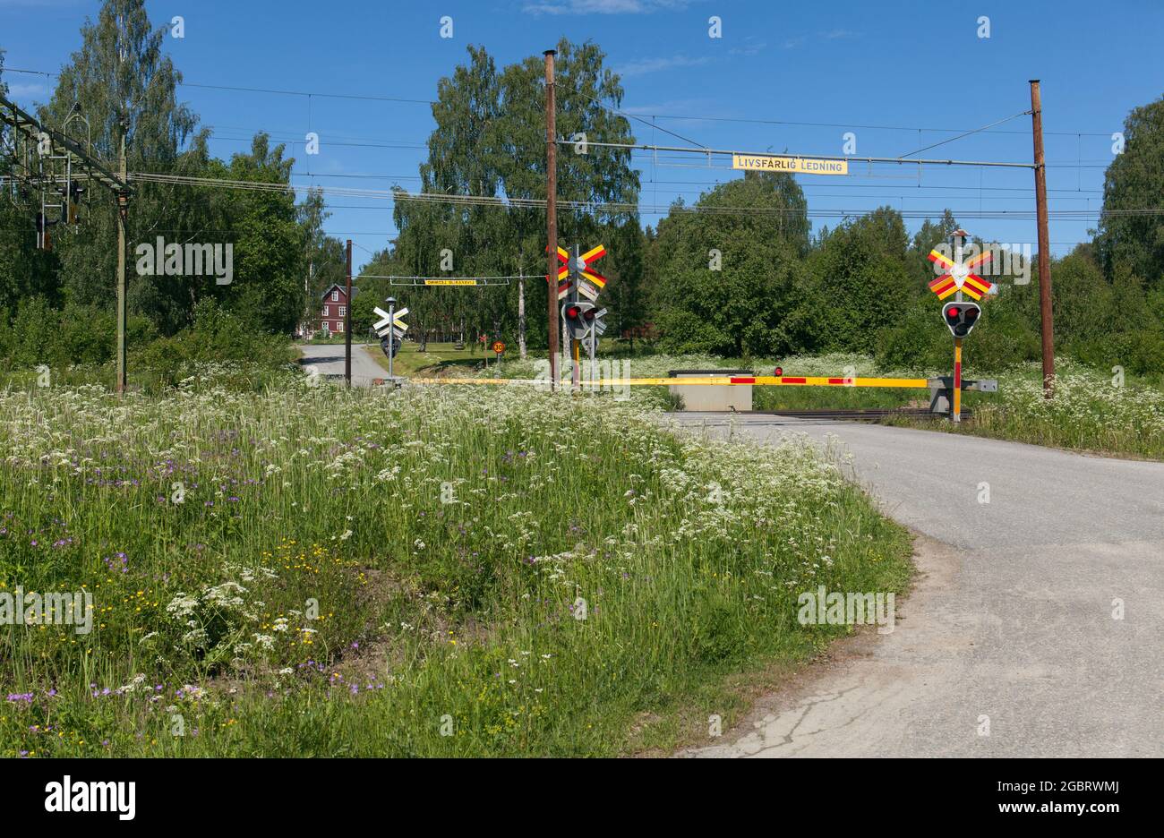 Red light alert at a railway crossing. Road this side Stock Photo - Alamy