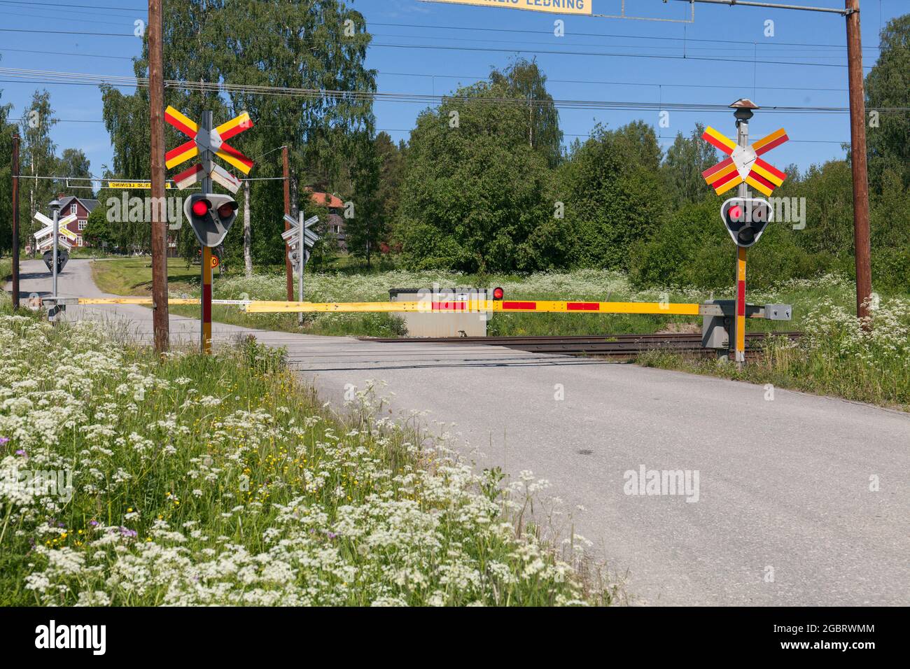 Red light alert at a railway crossing. Road this side Stock Photo - Alamy