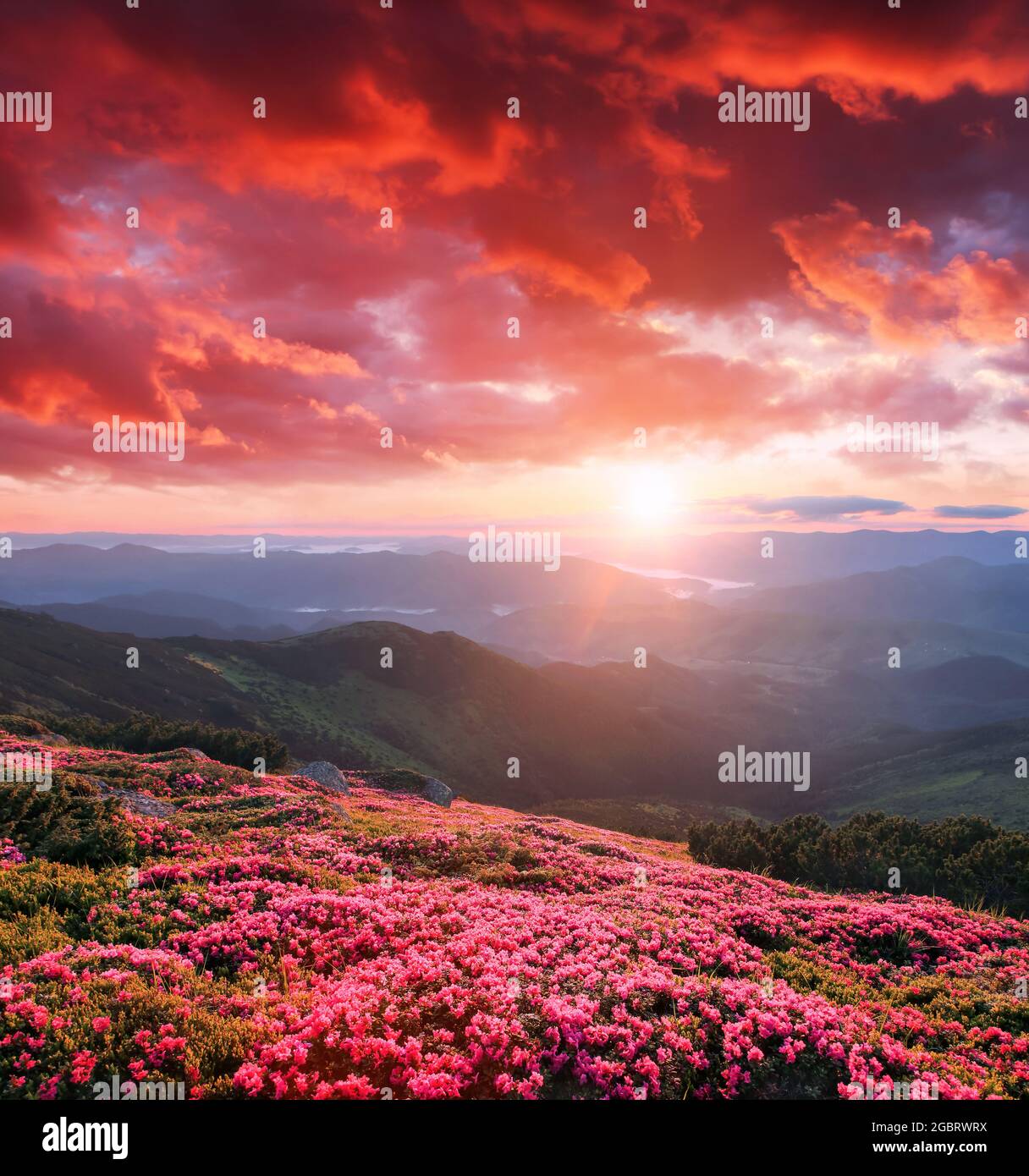Wallpaper bac hi-res stock photography and images - Alamy