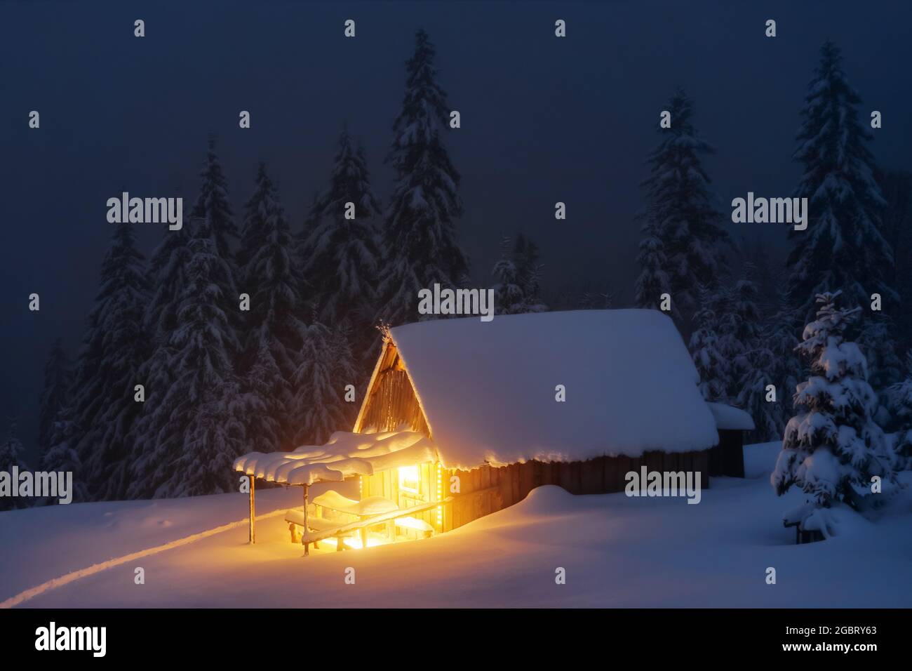 Flashlight forest hi-res stock photography and images - Alamy