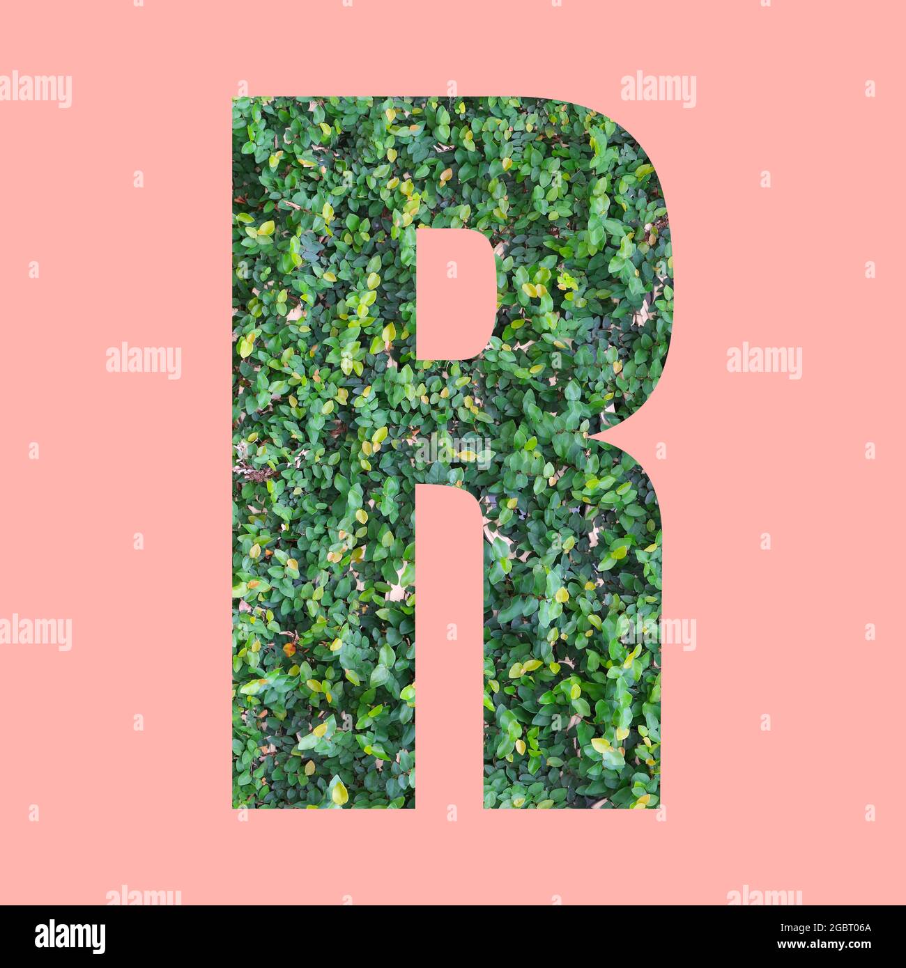 Alphabet letters of shape R in green leaf style on pastel pink ...