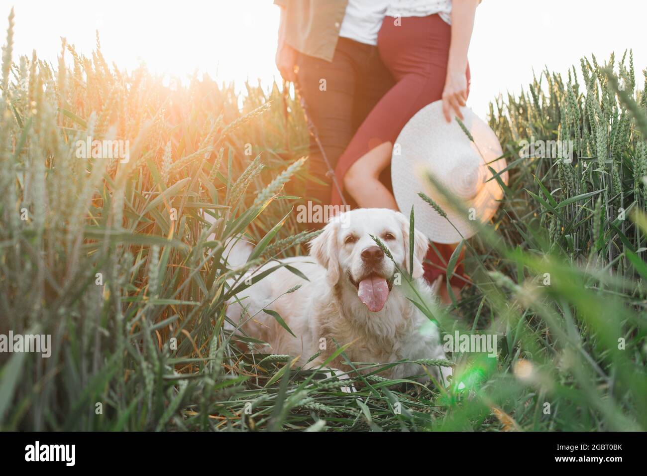 Touching moments of happy expectation of new life. Walking in nature ...