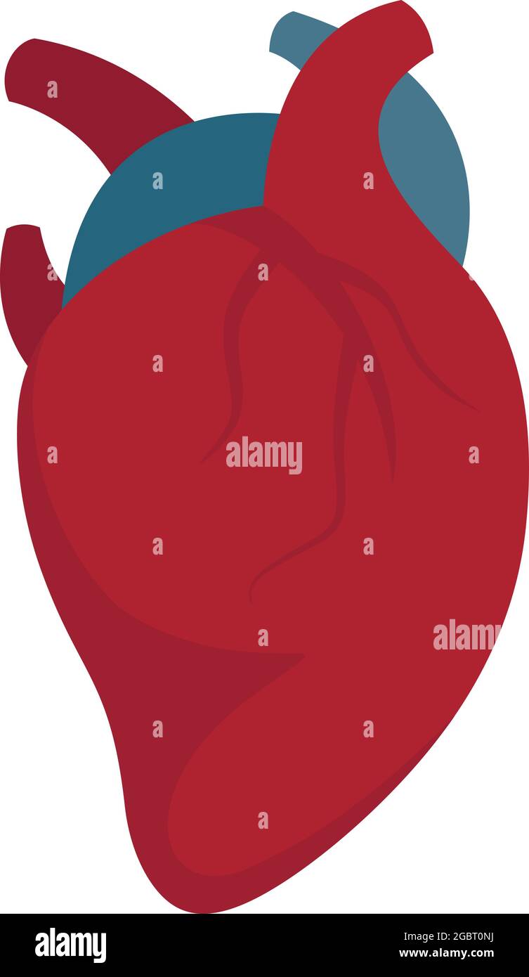 Body human heart icon. Flat illustration of body human heart vector ...