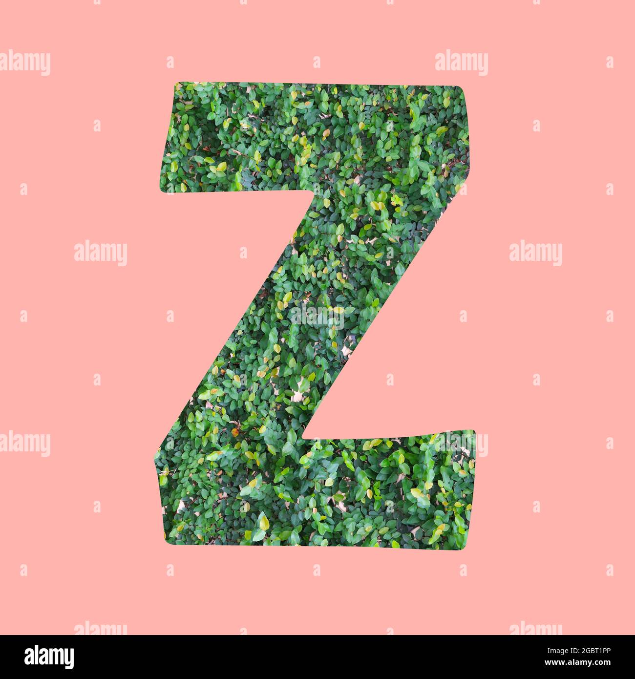 Alphabet letters of shape Z in green leaf style on pastel pink ...