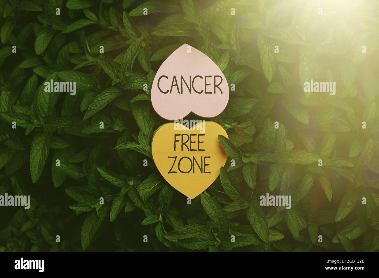 Hand writing sign Cancer Free Zone. Concept meaning supporting cancer ...