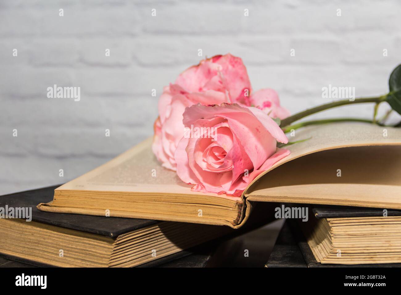 pink roses and books on rustic wood Stock Photo - Alamy