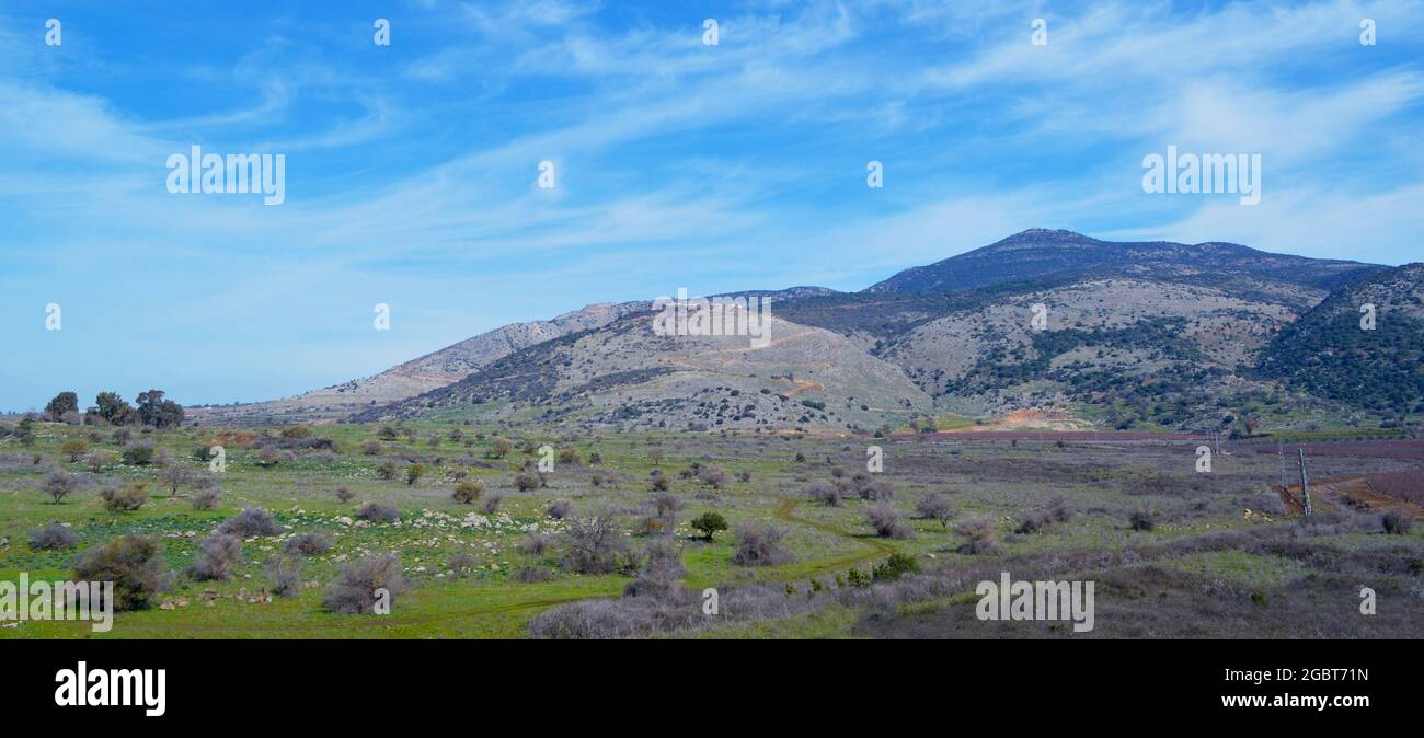 Tel dan nature reserve israel hi-res stock photography and images - Alamy