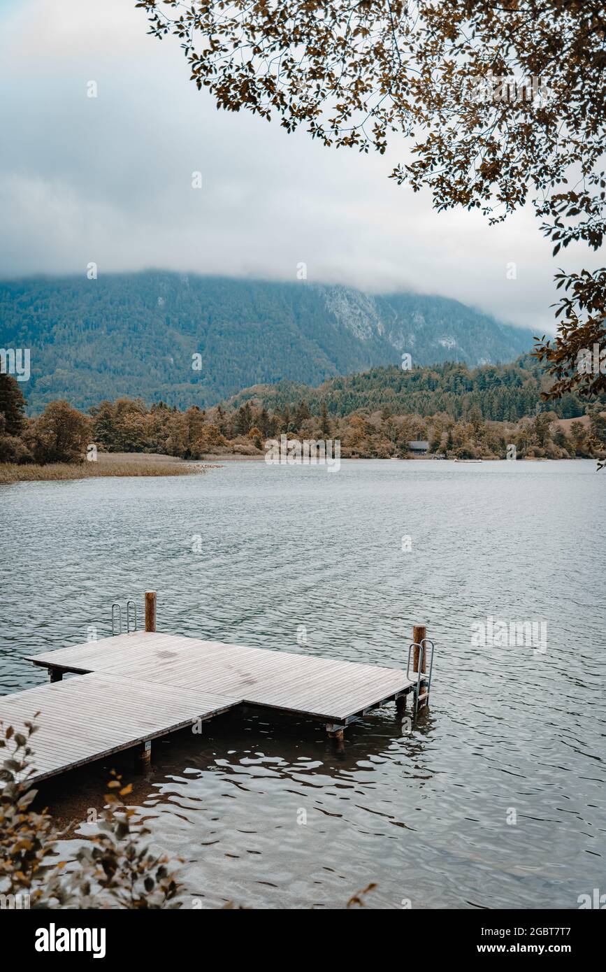 Vertical shot of a dock on a lake or a river surrounded by forests on ...