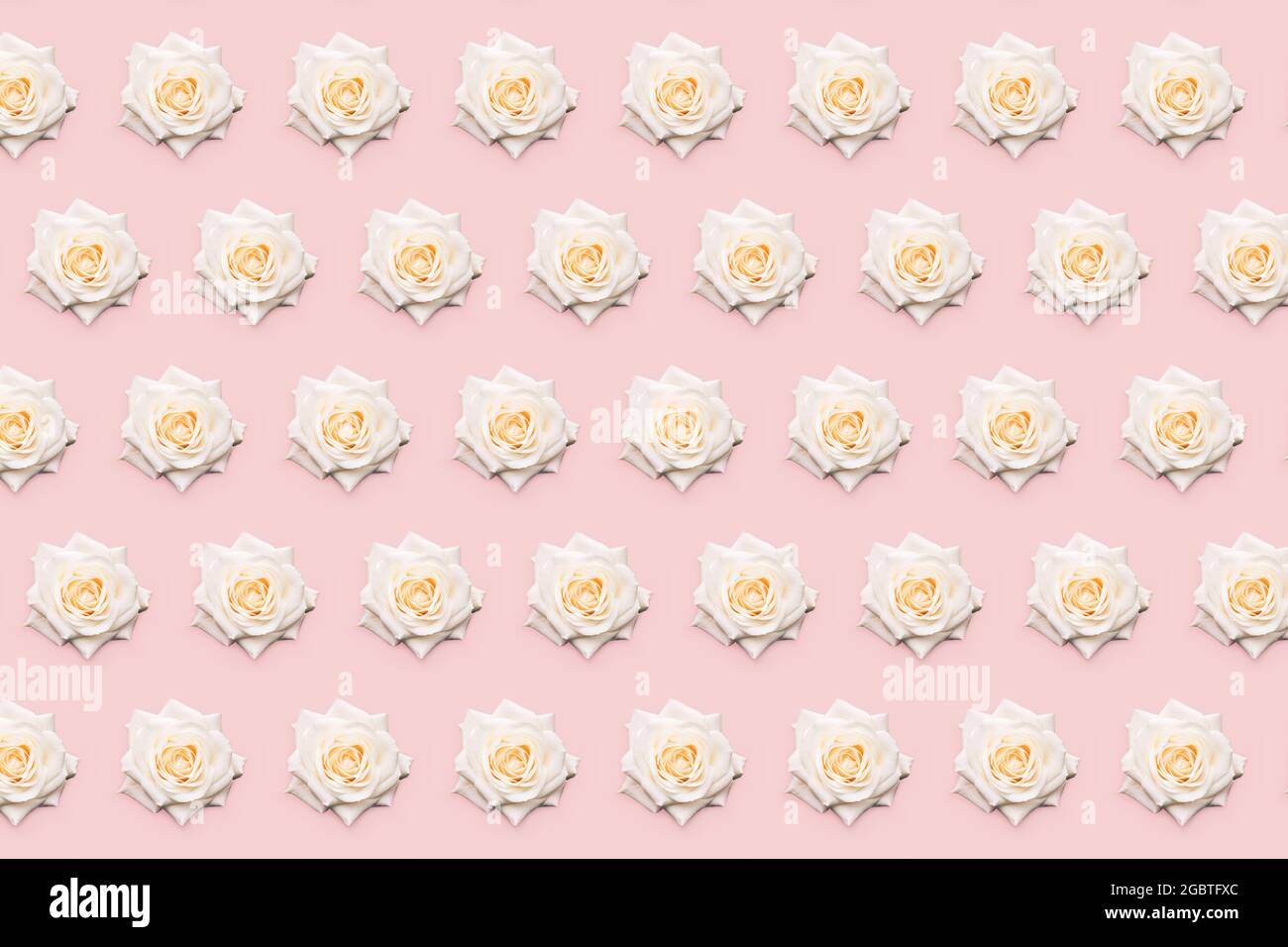 Floral white rose pattern Stock Photo - Alamy