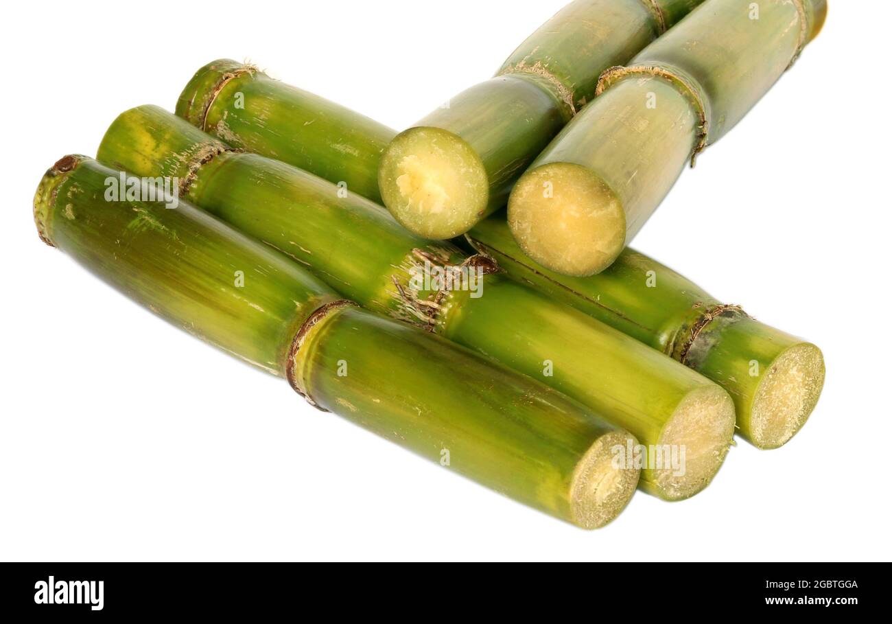 Chopped sugarcane hi-res stock photography and images - Alamy