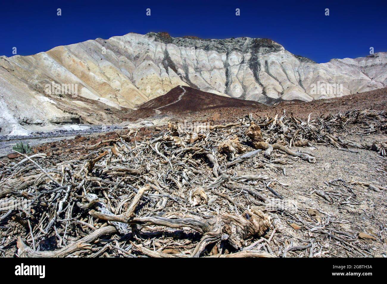 Death Valley is a long, narrow, north-south trending, fault bounded ...