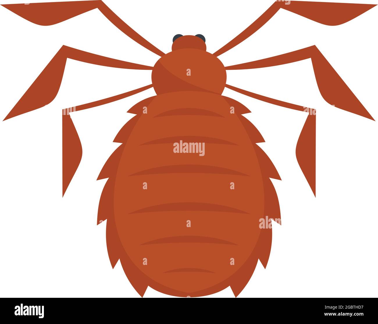 Forest bug icon. Flat illustration of forest bug vector icon isolated ...