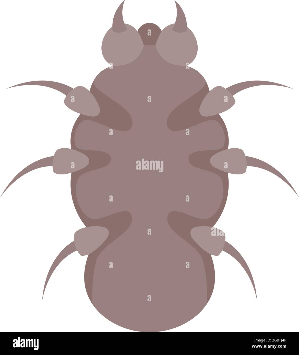Danger bug icon. Flat illustration of danger bug vector icon isolated ...